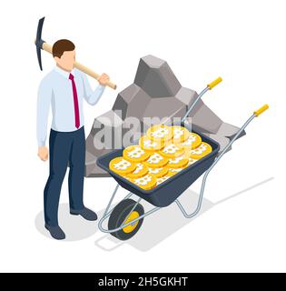 Bitcoin ingot icon Stock Vector Image & Art - Alamy