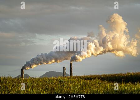 Steam rising from sugar mill stacks, North Queensland, Australia Stock ...