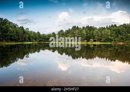 Lake with water reflection, Fassberg, Southern Heath, Lueneburg Heath ...