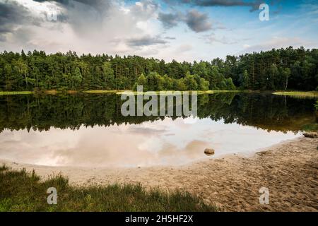 Lake with water reflection, Fassberg, Southern Heath, Lueneburg Heath ...