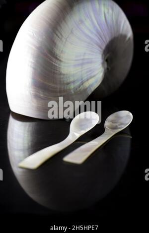 Vertical shot of Macoma shell and two spoons made from its material ...