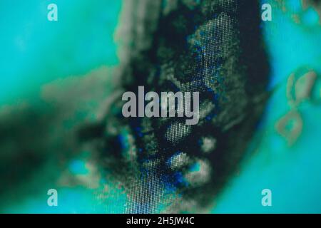 Cannabis mold under a microscope Stock Photo - Alamy