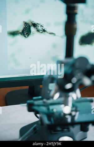 Electron microscope in the laboratory for studying mold on hemp Stock ...