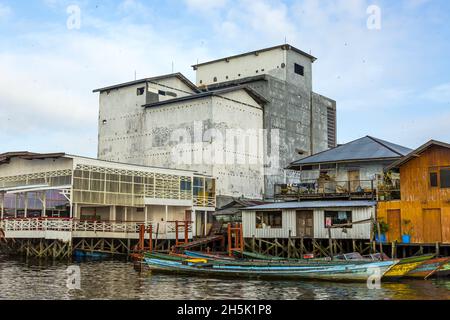 Edible-nest swiftlet, Aerodramus fuciphagus, and nest of saliva, used ...