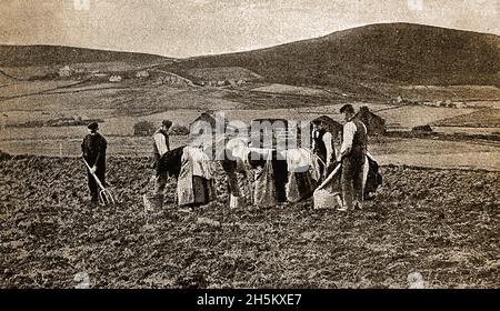 Women Crofters Scotland. A crofting family, mother and daughter in ...