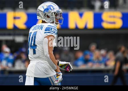 Detroit Lions wide receiver Amon-Ra St. Brown celebrates a touchdown ...
