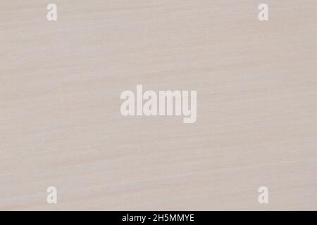 Light birch 3 wood panel texture pattern Stock Photo - Alamy