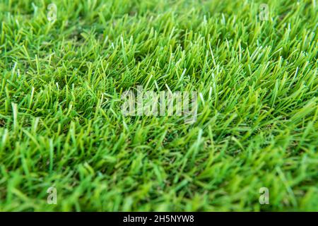 Beautiful green grass texture background Stock Photo - Alamy
