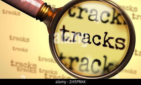 Look at Their Tracks! Stock Photo - Alamy