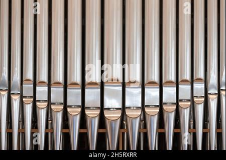 Frauenstein, Germany. 11th Nov, 2021. Cornelia Ferguson, museum ...