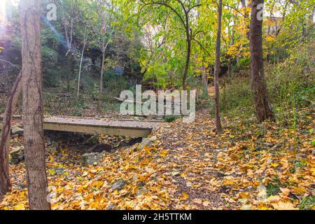 Duranceau Park in Fall, Columbus, Ohio Stock Photo - Alamy