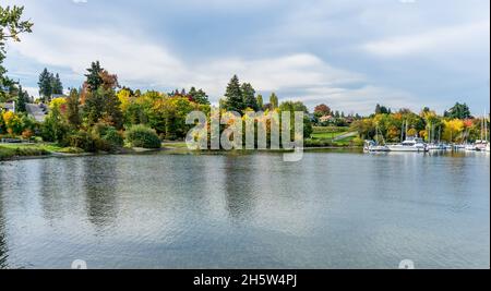 A Lake Wasington marina and colorful fall trees in Seattle, Washington ...