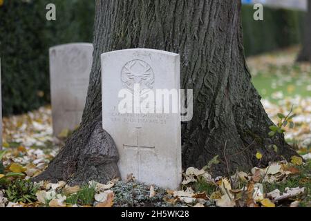 Ypres, Belgium. 11th Nov, 2021. Plush animals lie in front of the ...