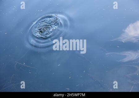 Wassertropfen wellen im See mit Himmelspiegelung Stock Photo - Alamy