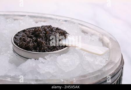 Black caviar in a mother-of-pearl spoon and glass of champagne with ...