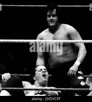 1987 Bret Hart Photo by John Barrett/PHOTOlink Stock Photo - Alamy