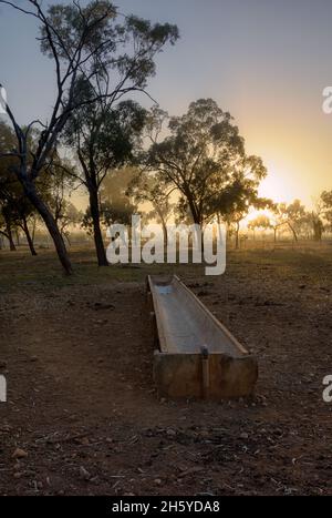 Outback Water Trough Stock Photo - Alamy