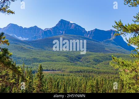 Silverton Falls and Forest Conservation Area Alberta Canada in summer ...