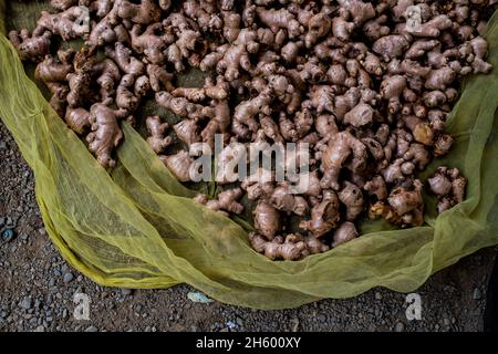 July 2017. Ginger, here drying in the street, is a common local cash ...