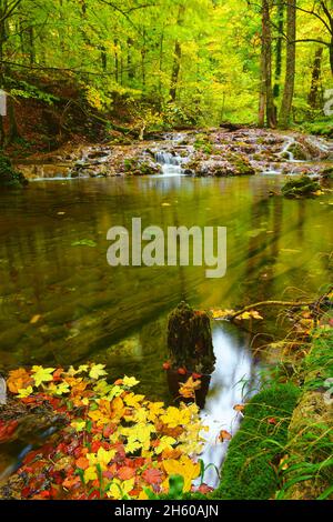Cheile Nerei, waterfall, romania, water, autumn, fall, colors, river ...