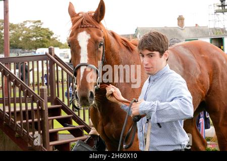 Taste of the atmosphere and thrill of a day at the races with the crowd ...