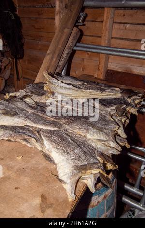 Dried salt cod, Raleigh, Newfoundland and Labrador NL, Canada Stock ...