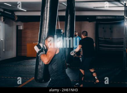 Portrait of determined professional boxer, getting ready for fight ...