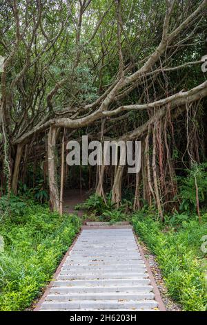 Kenting National Forest Recreation Area in Hengchun Township, Pingtung ...