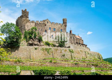 Reichenstein Castle on the upper middle Rhine River near ...