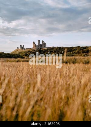 The summer landscape of Dunstanburgh Castle ruins - 14th-century ...