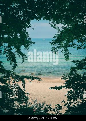A lonely beach on the coast of Rügen with trees and a blue sky with ...