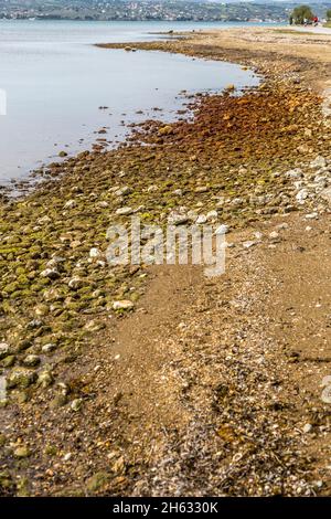 strange colored stones at the beach Stock Photo - Alamy