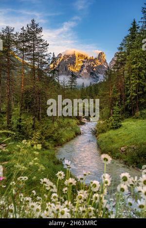 landro,toblach,höhlensteintal,bolzano province,south tyrol,italy. the ...