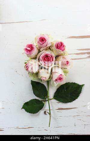 bouquet of flowers,individual flowers form one large flower Stock Photo ...