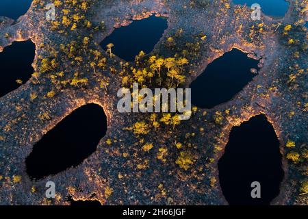 An aerial view of dark bog lakes during an autumnal morning sunrise in ...
