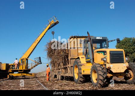 Children playing, Sugar Cane Farm, Cadiz City, Negros Occidental ...