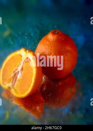 Super juicy Mineola (Grapefruit / Tangerine} natural fruit still-life ...