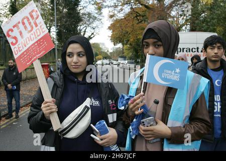 An Uyghur Woman Is Holding A Uyghur Flag During The Demonstration