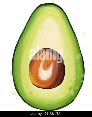 avocado slice illustration
