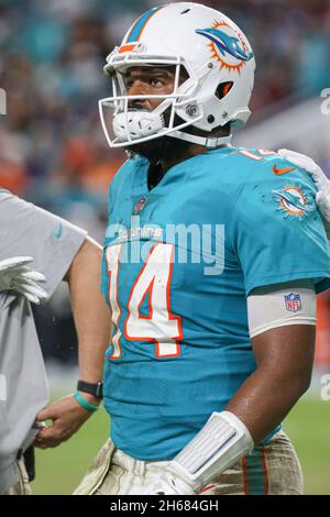 Miami Dolphins quarterback Jacoby Brissett (14) warms up before an NFL ...