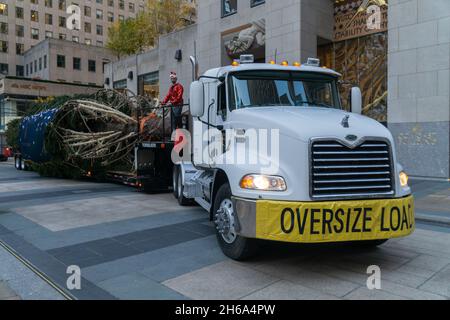 The 70 foot tall, 46 foot in diameter, and 12 ton Rockefeller Center ...