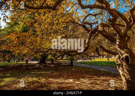 Fall Foliage in Providence Rhode Island Stock Photo - Alamy