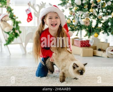 Child with ragdoll cat in Christmas time Stock Photo - Alamy