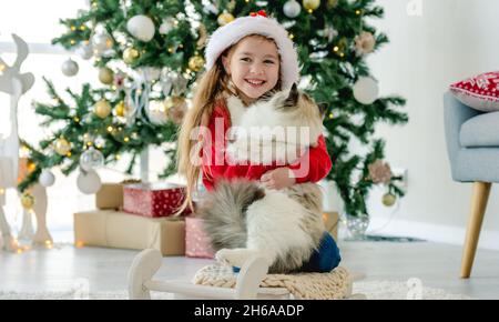 Child with ragdoll cat in Christmas time Stock Photo - Alamy