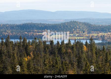 View of autumnal taiga forest with hills and mountains shot from ...