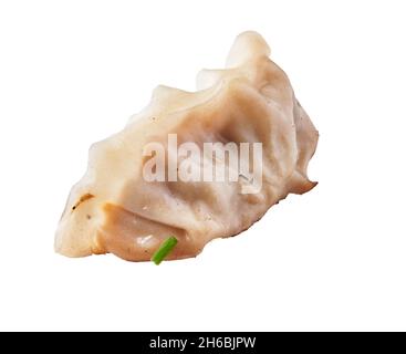 Single delicious chinese gyoza isolated on a white background Stock ...
