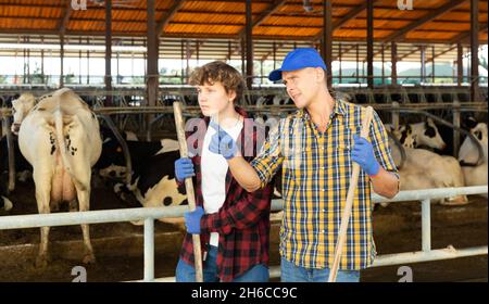 Farmers talking in cowhouse Stock Photo - Alamy
