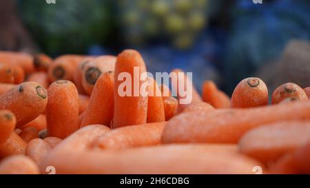 Nature's Candy: A Close-Up Look at a Vibrant Carrot. Fresh from the ...