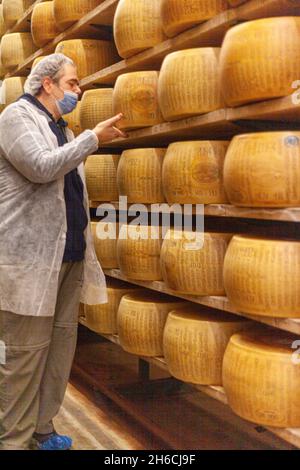 Parmesan Rarmigiano Reggiano italian cheese manufacturing at dairy farm ...