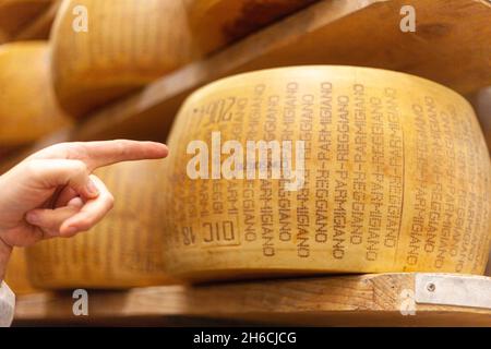 Parmesan Rarmigiano Reggiano italian cheese manufacturing at dairy farm ...